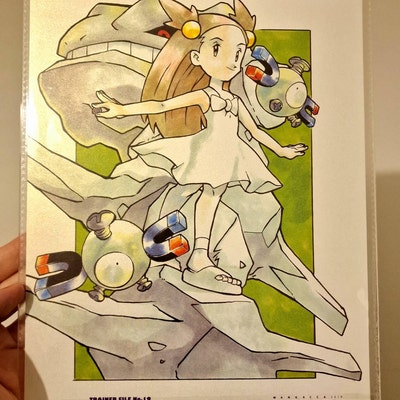 Pokémon R/B/Y Gym Leaders and Red/blue Set of 10 A4 Sized Posters - Etsy