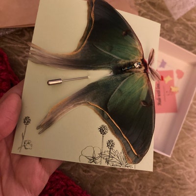 Silk Luna Moth Extra Large Lapel Pin Brooch 3d Three-layered - Etsy