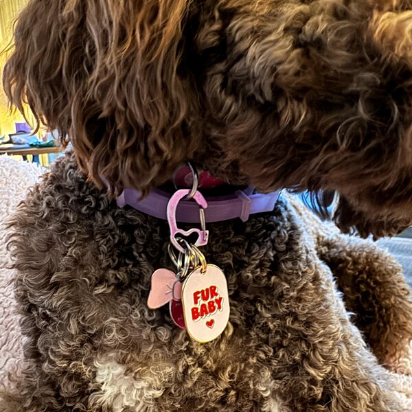 Dog Name Tag, Dog ID Tag, Funny Dog ID Tag, Personalised Dog ID Tag ...