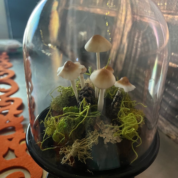 Realistic Mushrooms 1 Set of 6 Mushrooms Various Sizes Handmade Cute ...