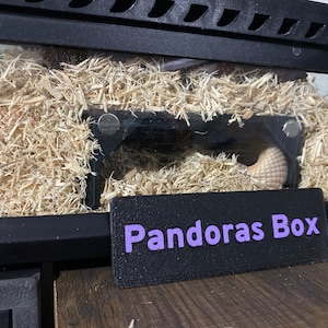 XL Hoggy Hide. Burrow Hide. Snake Hide for Western Hognose, Colubrids ...