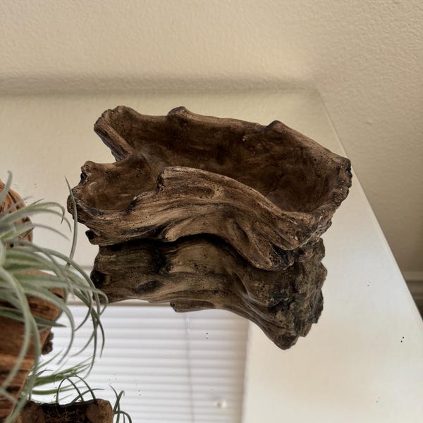 Tall Skinny Concrete Tree Stump Planter - Etsy