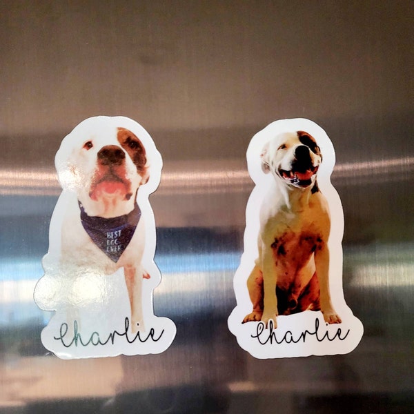 Pumping Milestones Sticker Breastfeeding Milestone Nursing Mama ...