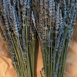 30 Lavender Sachets. Great for Wedding Toss Locally Grown and | Etsy