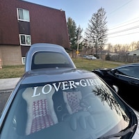 Lovergirl Decal - Etsy