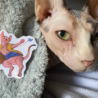 Pie Mimic Sticker // Dnd DM Nerd Geek Gift Cute // Creature Monster ...