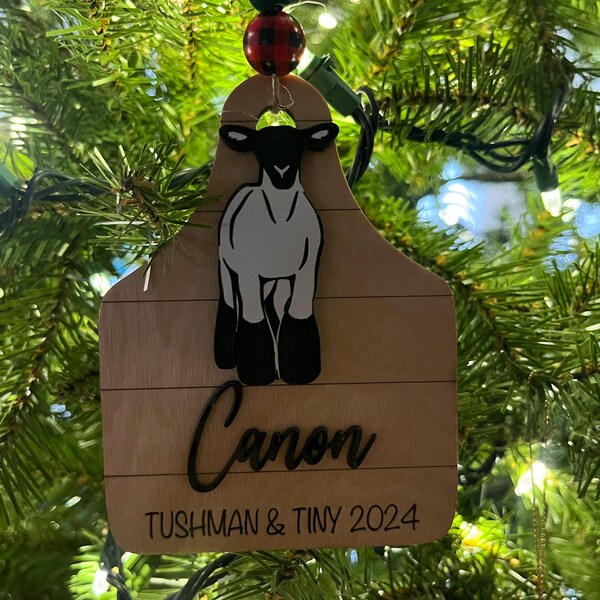 FFA Pig Stall Sign, Stall Name Tag, FFA Stall Animal Sign, Animal Name ...