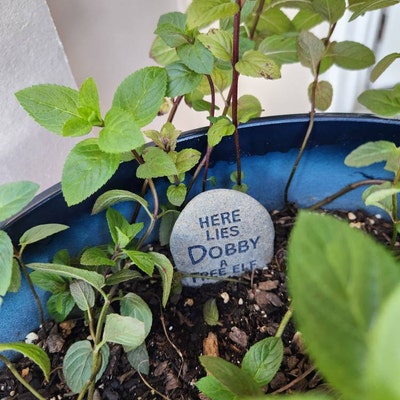 Shark Push Pins - Etsy