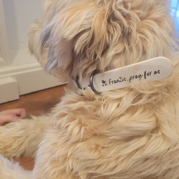 Parts of the Catholic Mass Printable Bundle|parts of the Catholic Mass ...