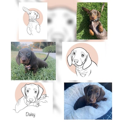 Custom Line Dog Portrait, Pet Portrait, Drawing From Photo, Custom Pet ...
