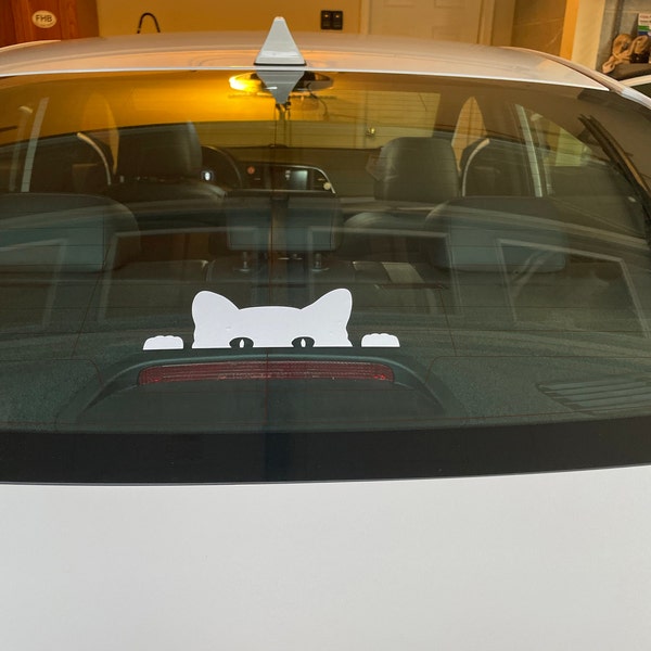 Peeking Cat Kitten Vinyl Decal Sticker - Etsy