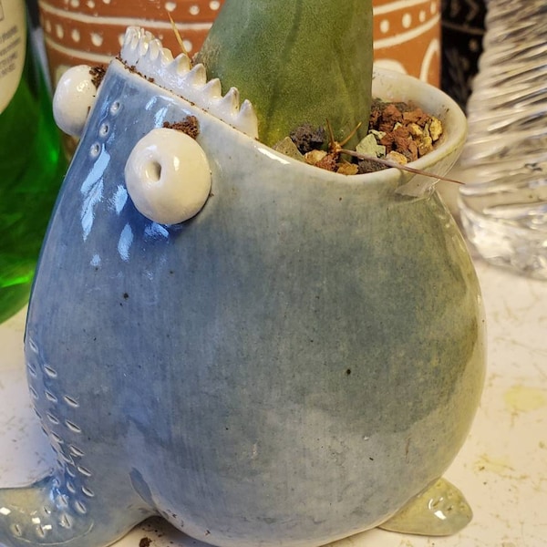 Indoor Succulent Pots, Ceramic Planter, Whale Lover Pots Gifts - Etsy