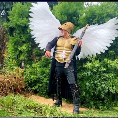 Extra Large Wings, White Angel Wings, Black Wings, Giant Wings, Big ...