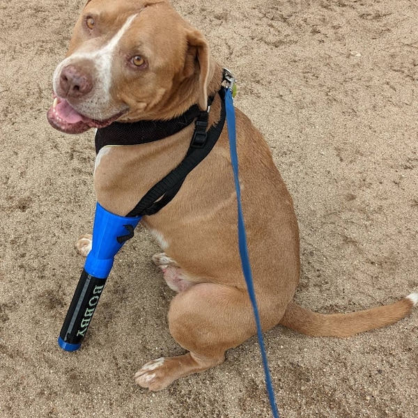 Medium Bird and Chicken Prosthetic Leg. - Etsy