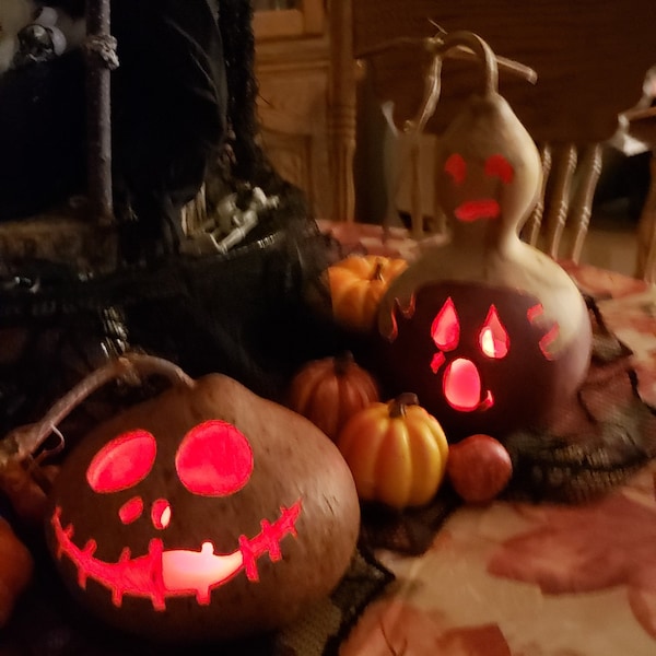 HALLOWEEN DRIED GOURD Spider Jack O Lantern Pumpkin Decoration - Etsy