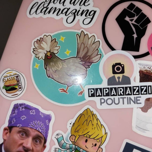 Floral Chicken Sticker Set - Etsy