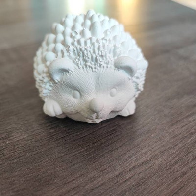 Mermaid Talisman, Sea Ocean Real Shell Bead Chain Sea Terrarium ...