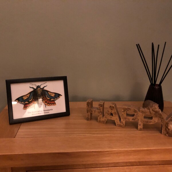 Edvard Munch's the Scream Hawkmoth Painting Print 6x8 | Framed ...