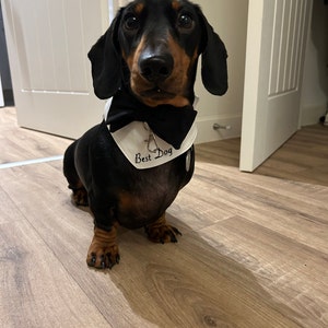 Crochet Cockapoo Pattern, Amigurumi Dog Pattern, Dog Stuffed Animal ...