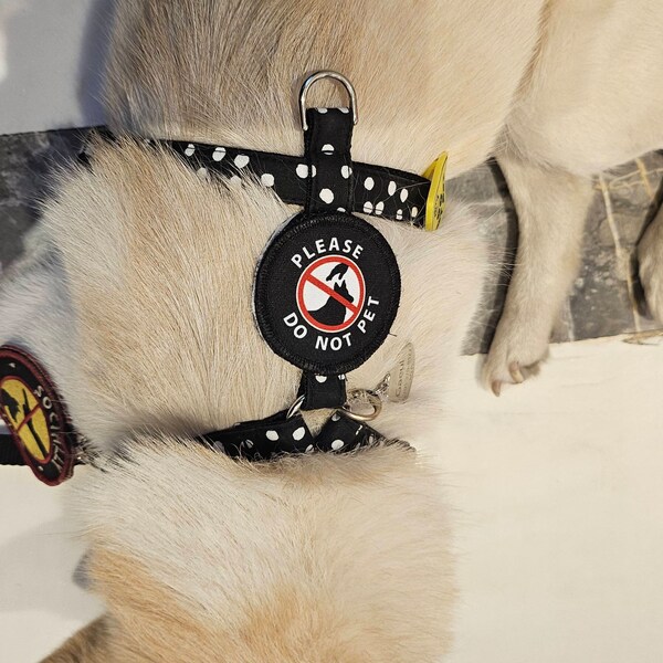 Nervous Dog Patch | Ask to Pet Patch | Dog Vest Patches | Hook Fastener ...