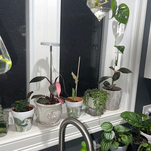 Printable Bangla Alphabet 50 Worksheets Homeschooling Bangla Practice ...