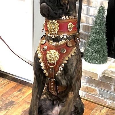 Big Dog Collar Genuine Leather Handmade Custom // Strong - Etsy