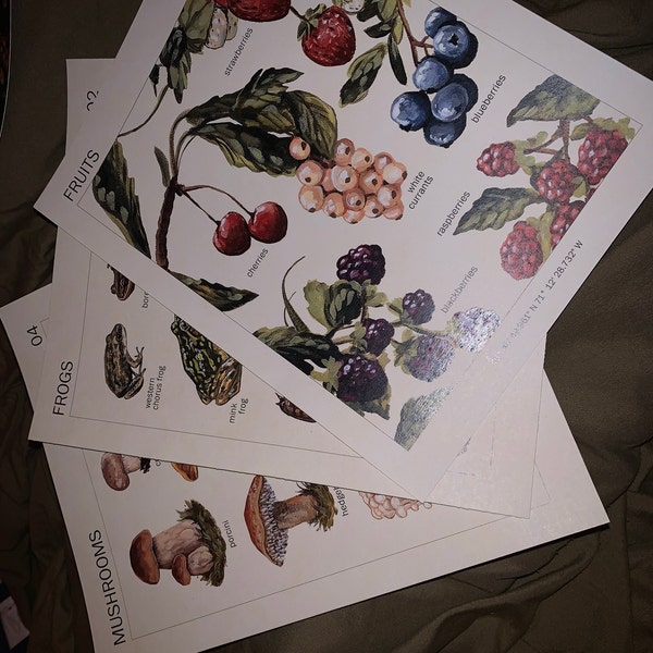 FROG ART PRINT - 8x10 - Vintage Poster - Frog Decor - Cottagecore Room ...