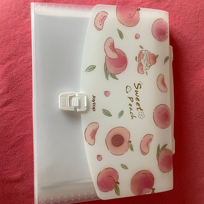 Cute Pink Peach File Folder 13 Pocket Folder Decorative Document Keeper ...