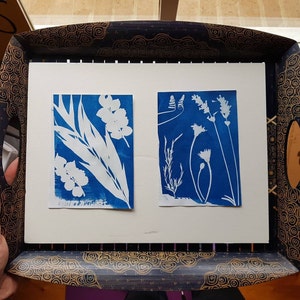 DIY Solar Printing Kit Craft Kit Cyanotype Kit Solar - Etsy