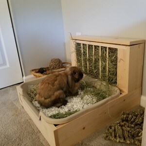 Large EZ Entry 2.0 Hop Box: Rabbit Bunny Easy Entry Hay Feeder and ...