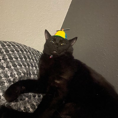 Beanie Hat / Propeller Helicopter Hat for Cat Dog Small Pet Hedgehog ...