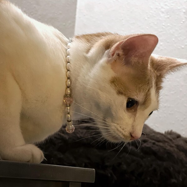 Pink Crystal Cat Collar,rose Quartz Dog Beaded Necklace,kitten Small ...