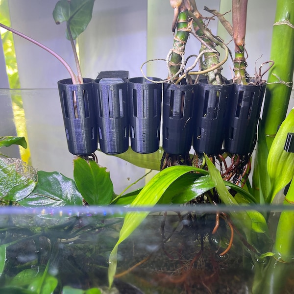 Aquaponics Floating Plant Holder. Grows on Top. Great for Pothos ...