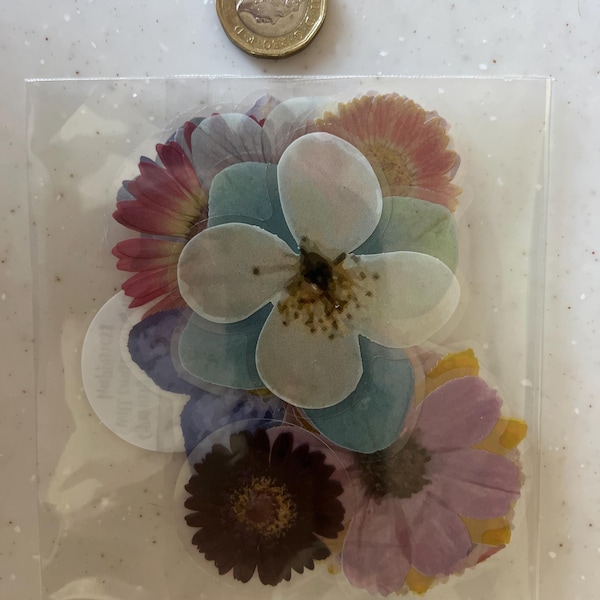 20 Vinyl Transparent Pressed Flower Sticker Pack, Waterproof Reusable ...