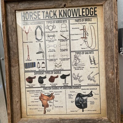 Types of Wood Poster, Wood Poster, Wood Knowledge Poster, Wood ...