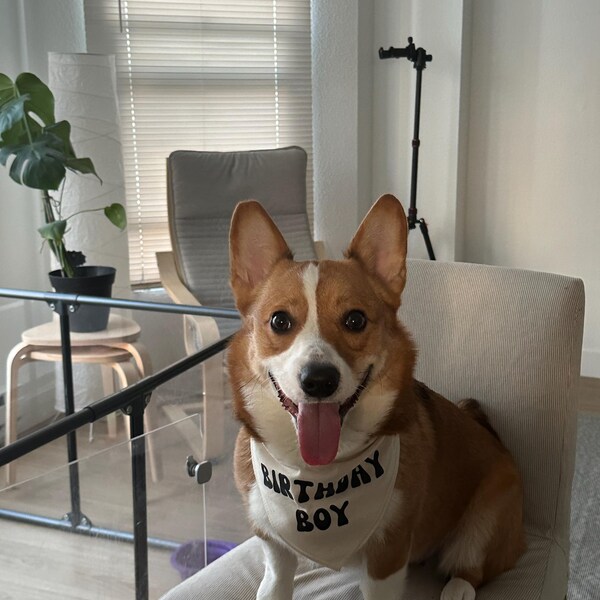 The Big ONE Shirt, Surfer Themed Party, Wave, First Birthday, Bday Boy ...