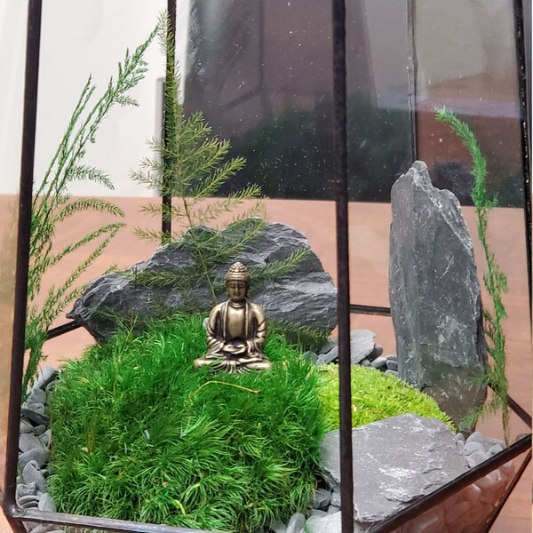 Moss Zen Garden Terrarium Cube; DYI Kit With Preserved Moss (so Not ...