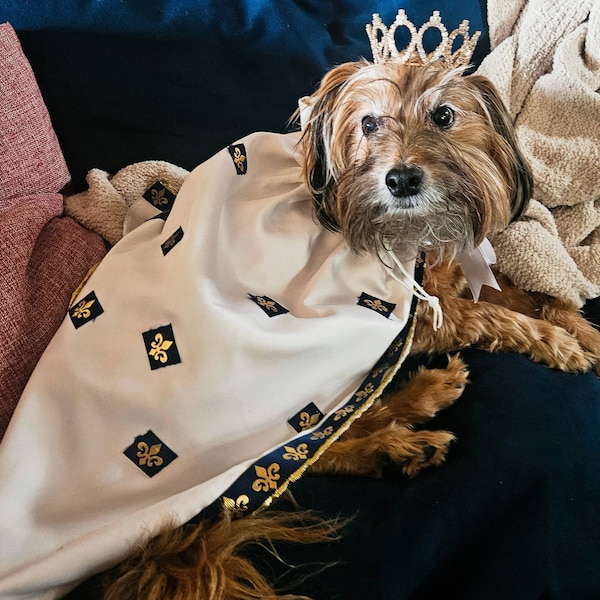 Gold Pet Crown With Adjustable Elastic – Princess Dog or Cat Costume - Etsy
