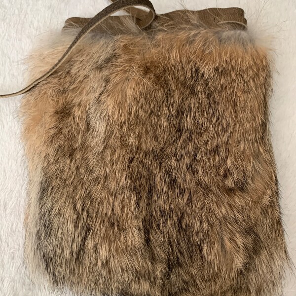 10 to 11 River Cooter Turtle Shell 1077-1011 Y3K - Etsy