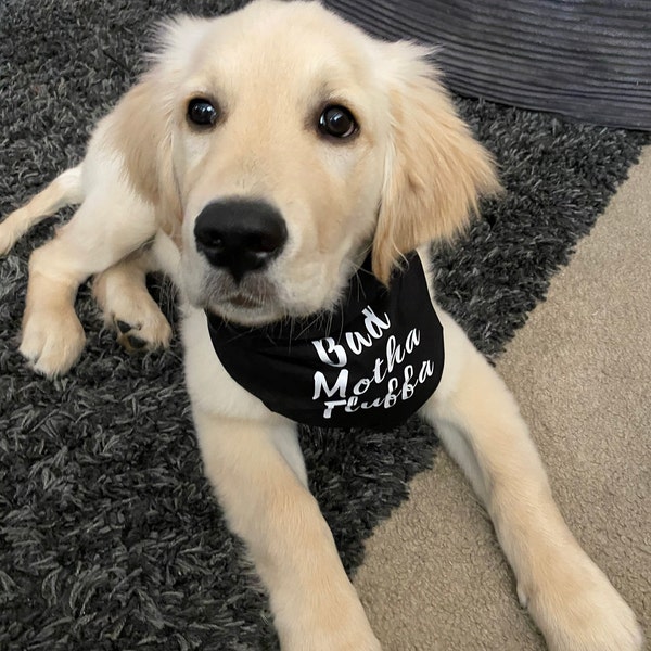 Bad Motha Fluffa - Dog Bandana - Etsy