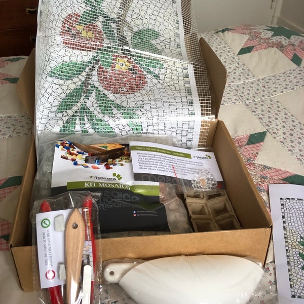 Mosaic Kit for Adults + Tutorial, Copy Roman Mosaic - Etsy