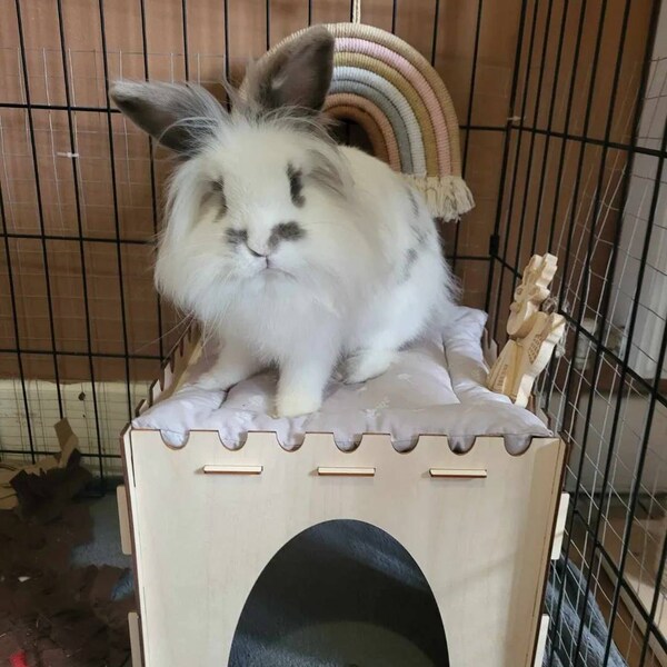 Double Storey Rabbit Castle - Etsy