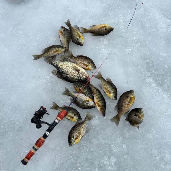 Size 10- Tungsten Bubble Minnow Jig 2 Pks - Etsy