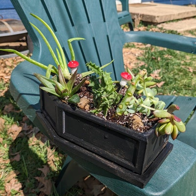 Coffin Planter With Drainage ,succulent Planter, Pot With Drain and ...