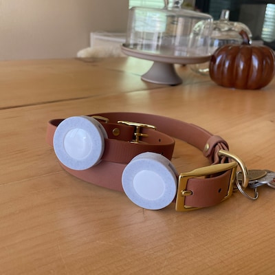 Biothane® Waterproof Dog Leash Coral - Etsy