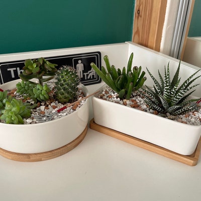 12 Miniature Daisies Kit Daisy Flowers 1:12 Scale Dolls House Garden ...