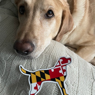 Boop Sticker Dog Nose Sticker Funny Dog Sticker Cute - Etsy