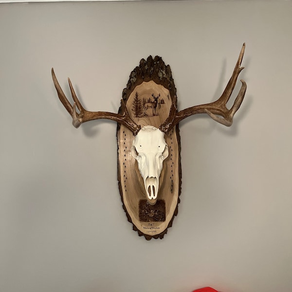 European Mount, Photo Engraved Hunting Plaque, Deer Skull Mount ...