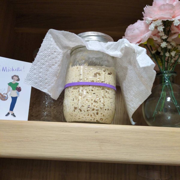 115yr Old Organic French Sourdough Starter - Liquid & Very Active ...