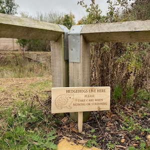 Bug Hotel Sign Personalised Garden Sign for Kids Ladybird - Etsy